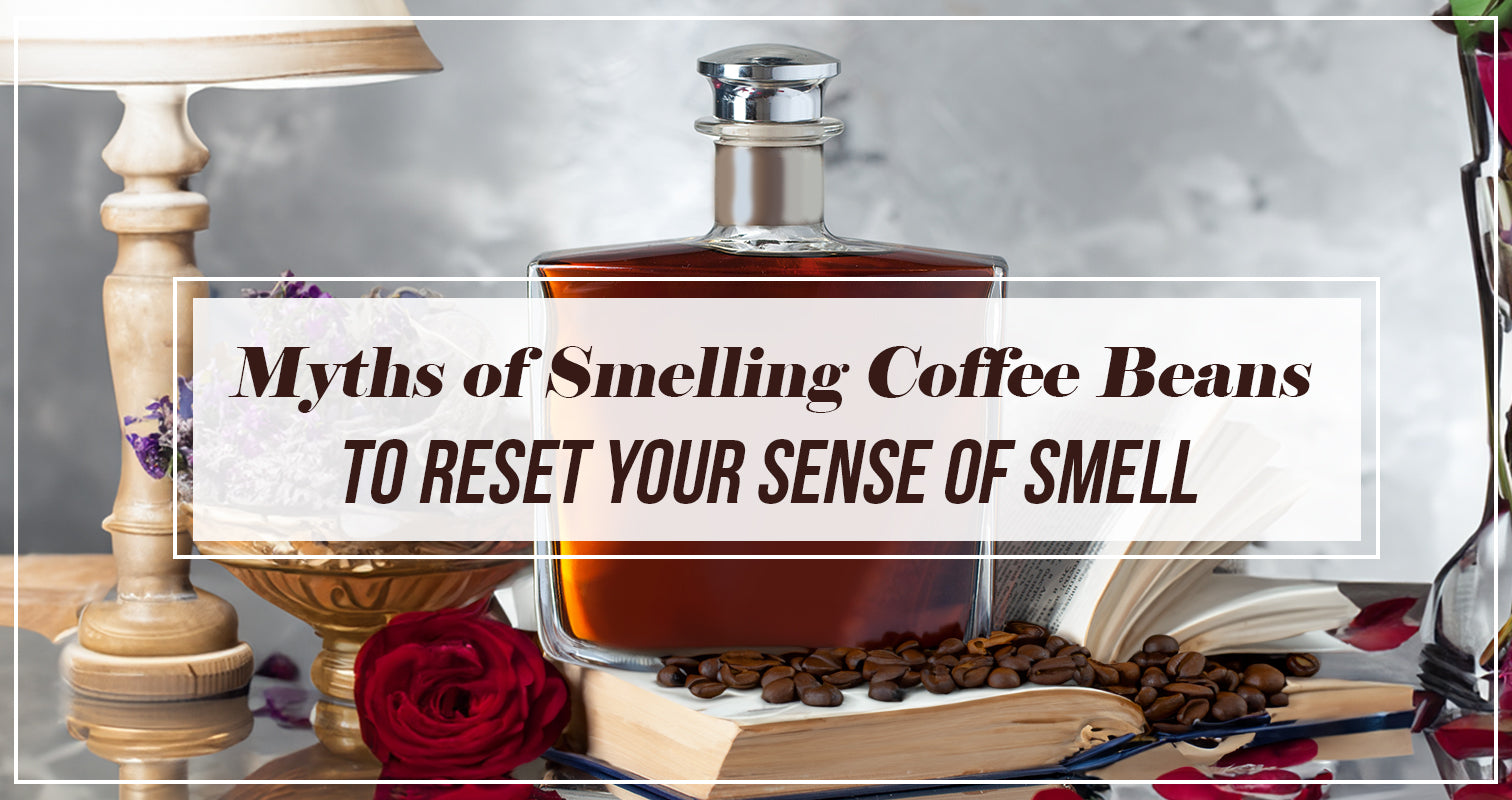 Myths of Smelling Coffee Beans to Reset Your Sense of Smell | Ajmal ...